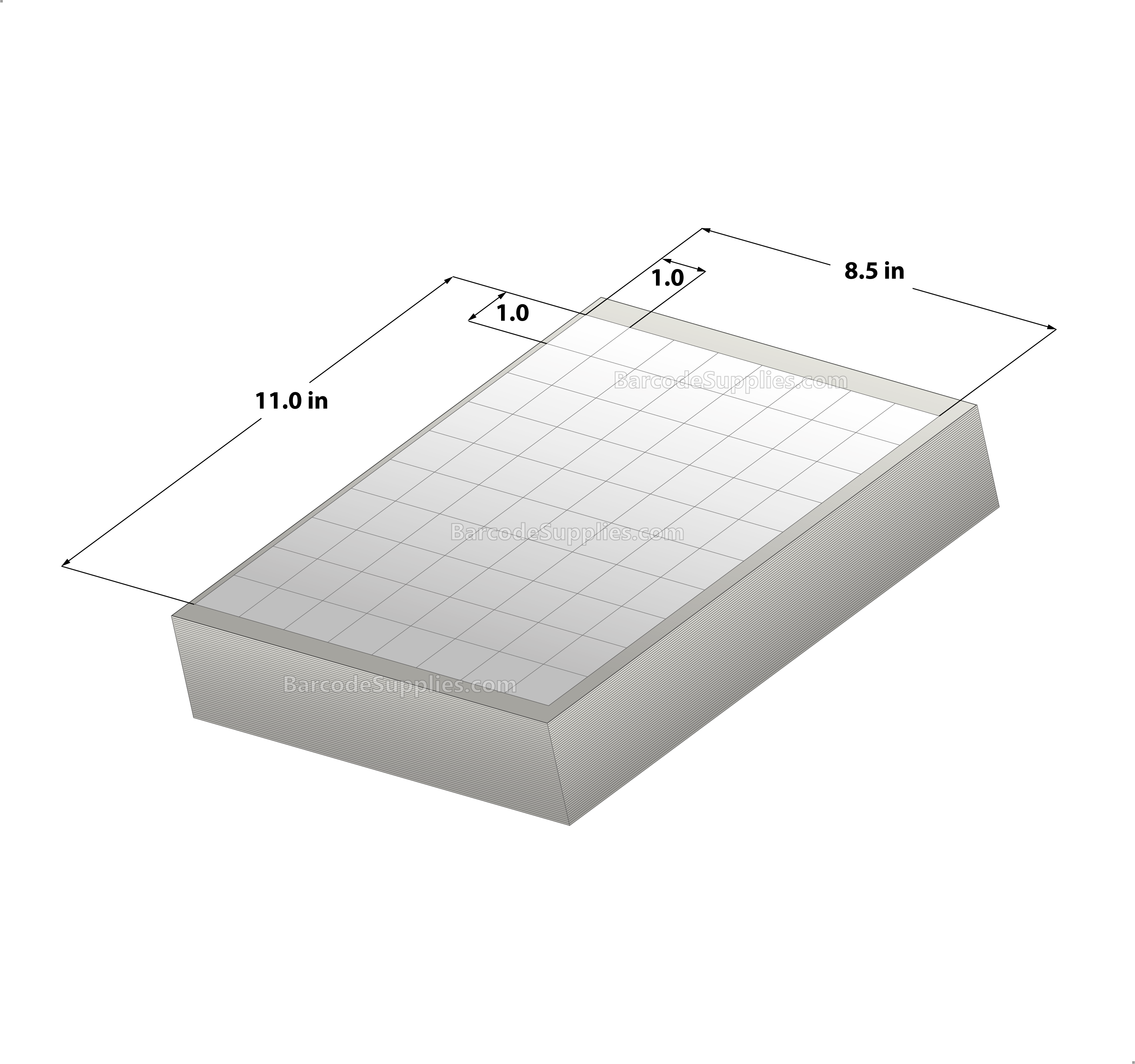 Shop for Labels by Size